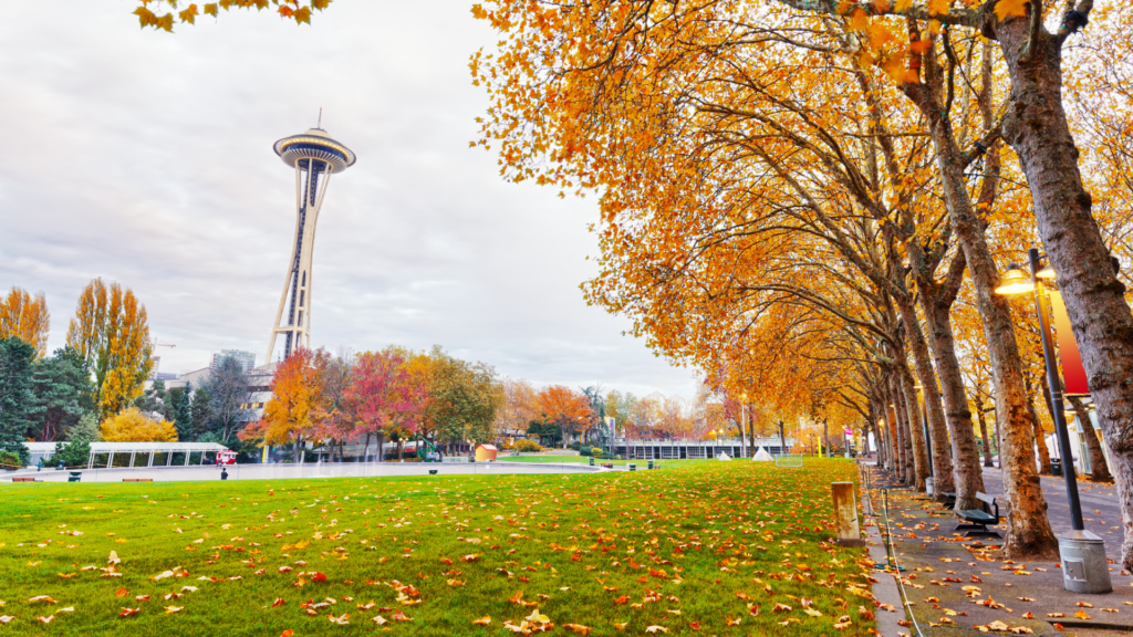 Lead Generation in Seattle | Lead Genera